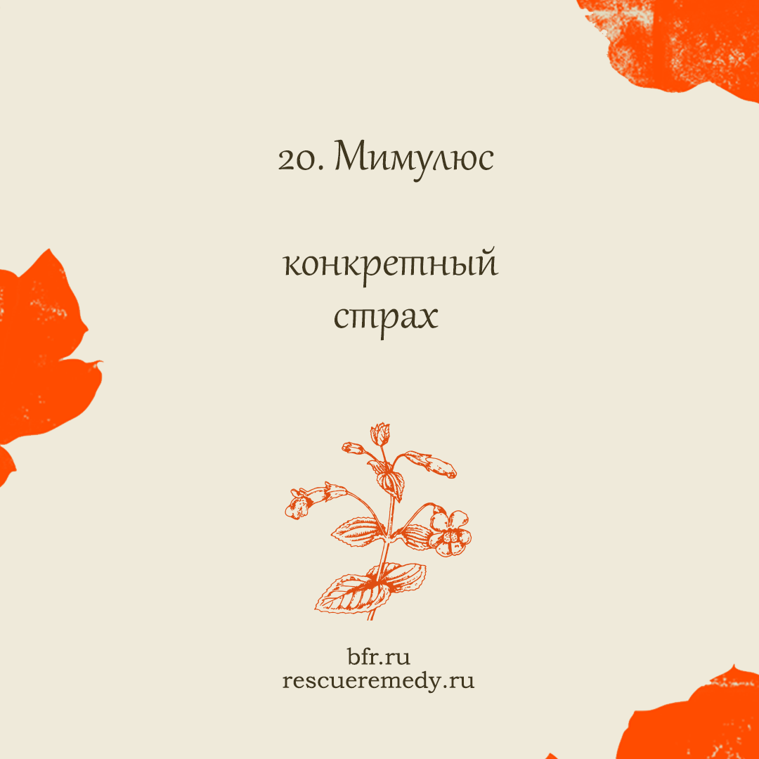 Bach remedy — Центр Баха