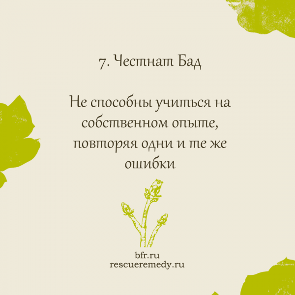 Bach remedy — ЦВЕТЫ БАХА